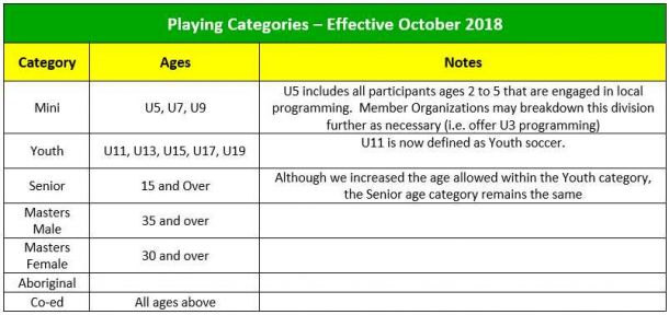 Age Groups Classification